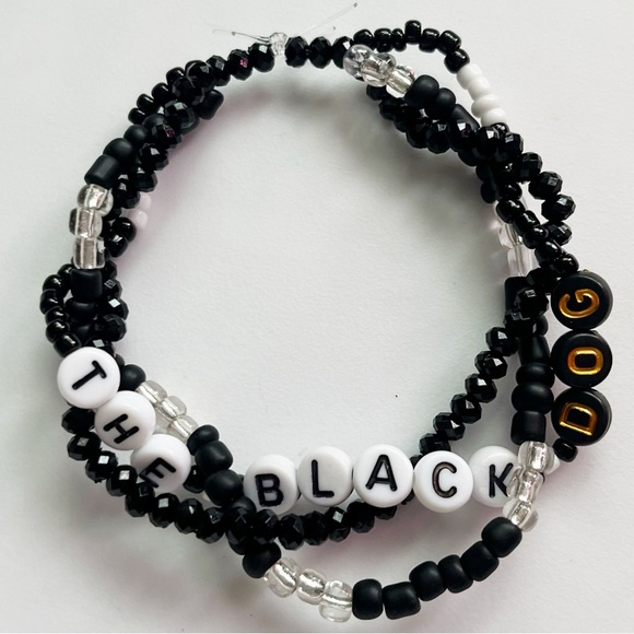 Taylor Swift | Jewelry | Taylor Swift Eras Tour Friendship Bracelet The ...